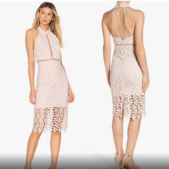 Bardot | Dresses | Bardot Gemma Lace Midi Dress Light Pink | Poshmark